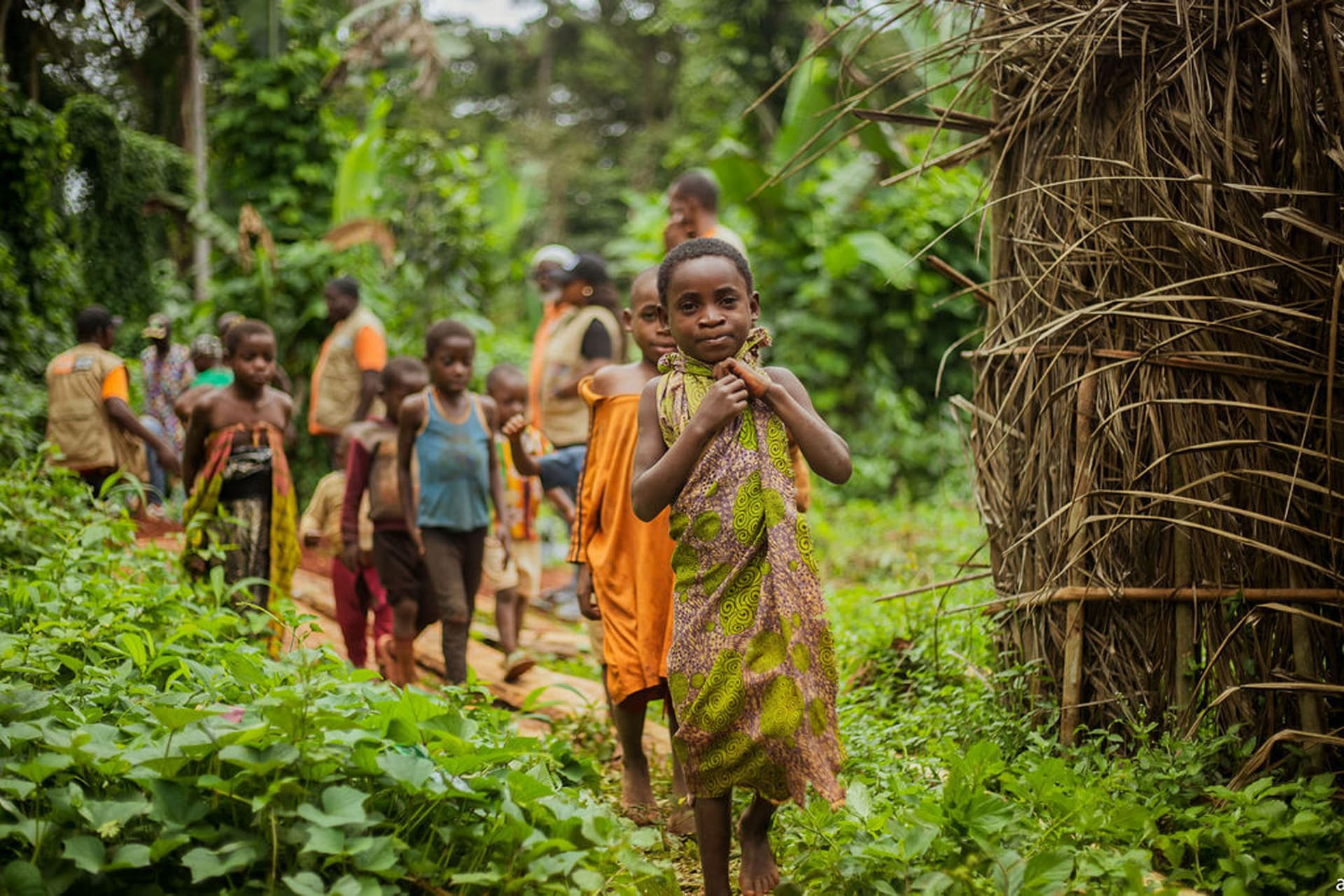 Die Mütter unter dem Baum · FAIRMED